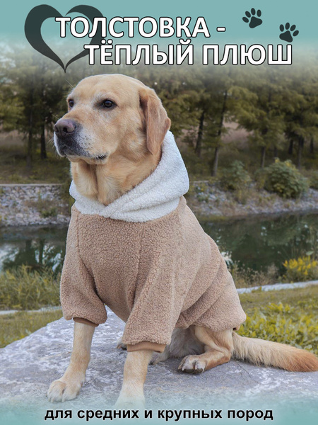 Толстовка Rexy crew "Плюш" для собак средних и крупных пород, размер 6XL купить на OZON по ...