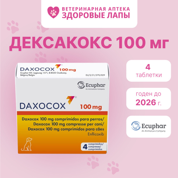 Даксококс (Daxocox) 100 мг купить на OZON по низкой цене (1814207770)