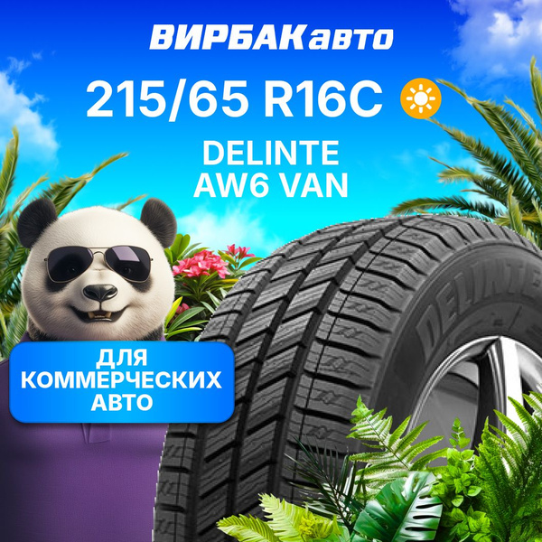 Delinte AW6 VAN Шины для коммерческого транспорта 215/65 R16С 107, 109 T6921109072023 купить c ...