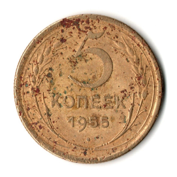 5 копеек 1955 год СССР G- купить на OZON по низкой цене (1888107834)