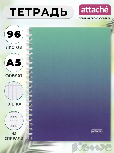 Тетрадь Attache, A5, 96 листов, в клетку, на спирали купить на OZON по низкой цене (1603899531)