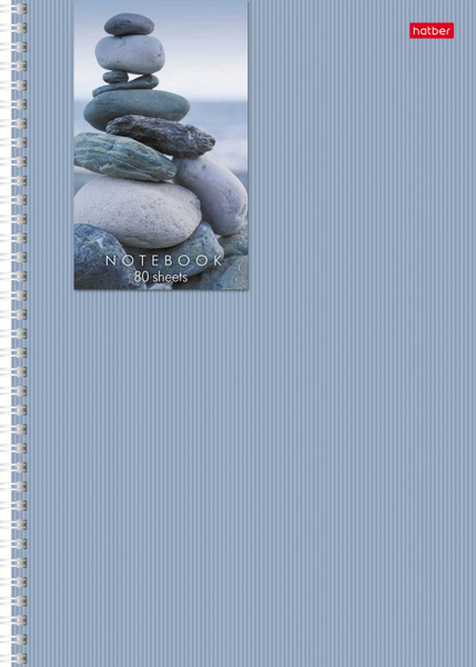 Набор тетрадей Hatber 2 штуки/2 дизайна 80 листов, формата А4, в клетку на гребне -Прикосновение ...