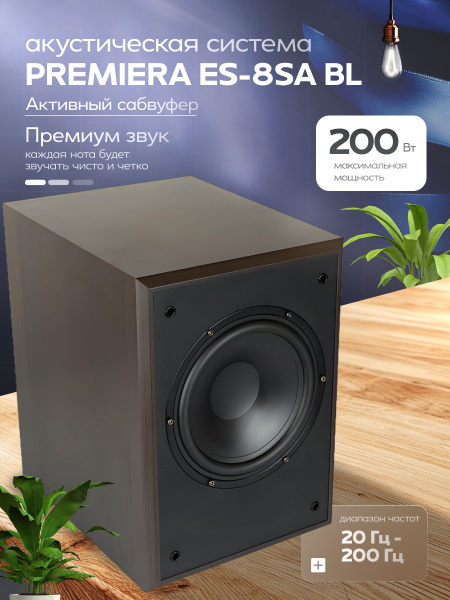 Активный сабвуфер 200 Вт, Premiera ECO ES-8SA Мокко купить на OZON по низкой цене (1940732680)