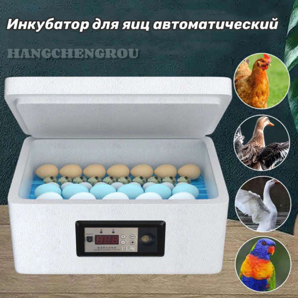Инкубатор для яиц автоматический, 22 яиц купить на OZON по низкой цене ...