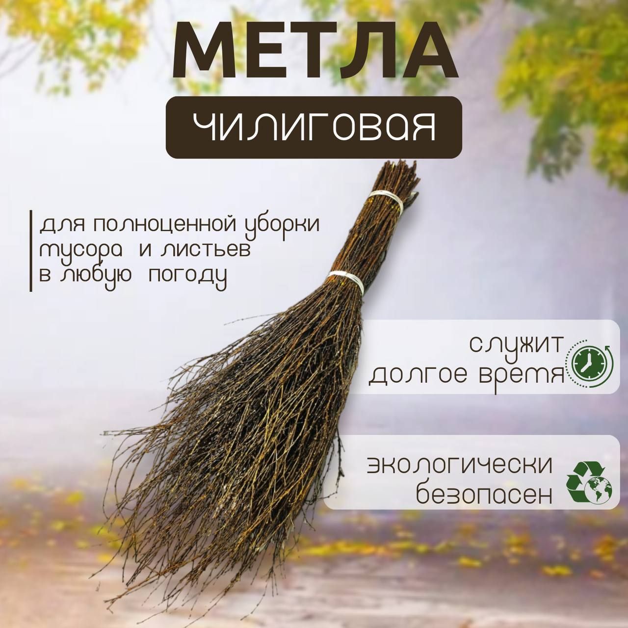 Метла Чилиговая купить на OZON по низкой цене
