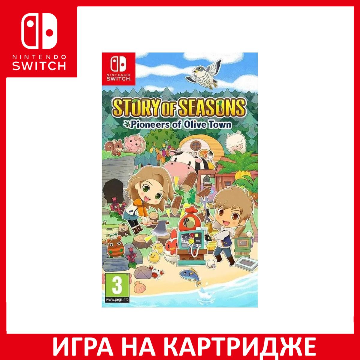 Story of seasons for switch store