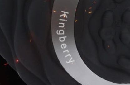 kingberry — купить товары kingberry в интернет-магазине OZON