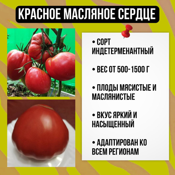 Томаты Livata томат красное масляное сердце - купить по выгодным ценам ...