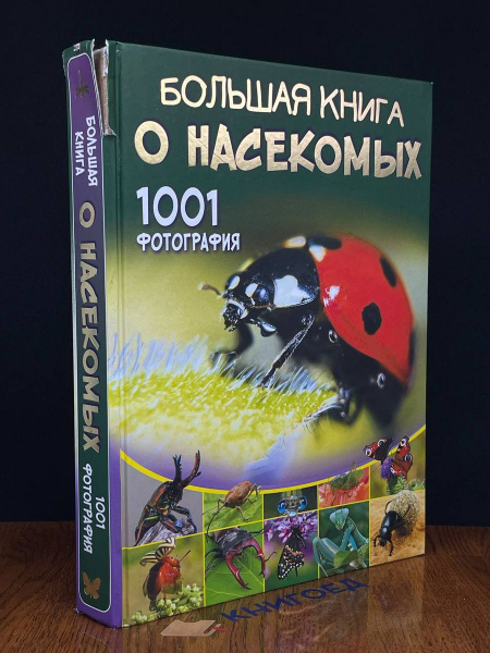 Большая книга о насекомых. 1001 фотография - купить с доставкой по ...