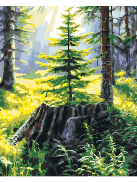 Картина по номерам новая жизнь в лесу на холсте с деревянным ...