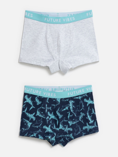 Комплект трусов Мальчики Acoola боксеры Трикотаж светло-зеленый, серый, размер 134, 140 Китай ...