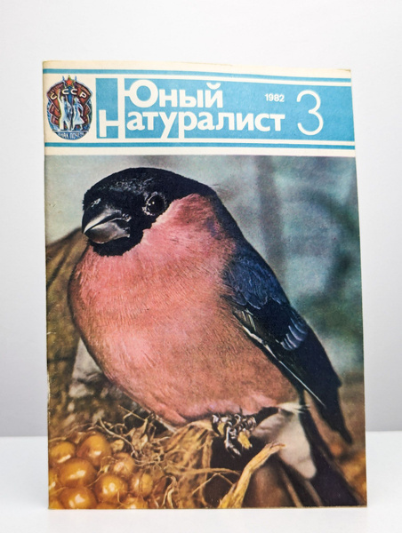 Журнал "Юный натуралист" 1982 г. Выпуск 3 - купить с доставкой по выгодным ценам в интернет ...
