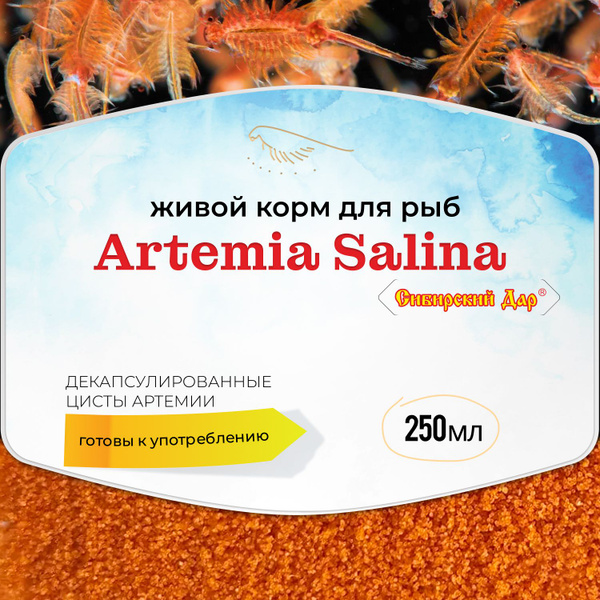 Декапсулированные яйца артемии (цисты) - корм для рыб "Сибирский дар ...