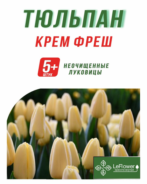 Луковицы LeFlower купить по выгодной цене в интернет-магазине OZON ...