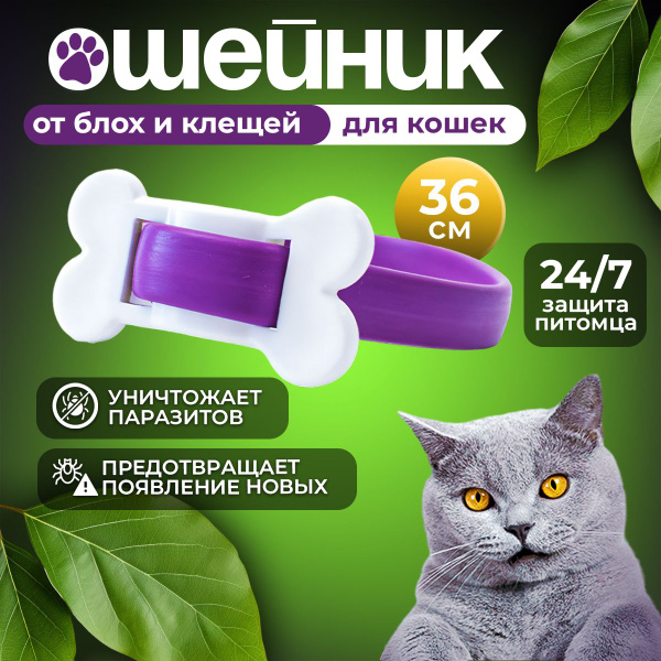 Ошейник от блох и клещей для кошек, BioDoctor - купить с доставкой по ...