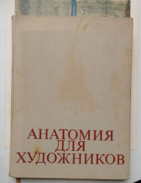 Анатомия для художников. 1959 | Барчаи Енё - купить с доставкой по ...