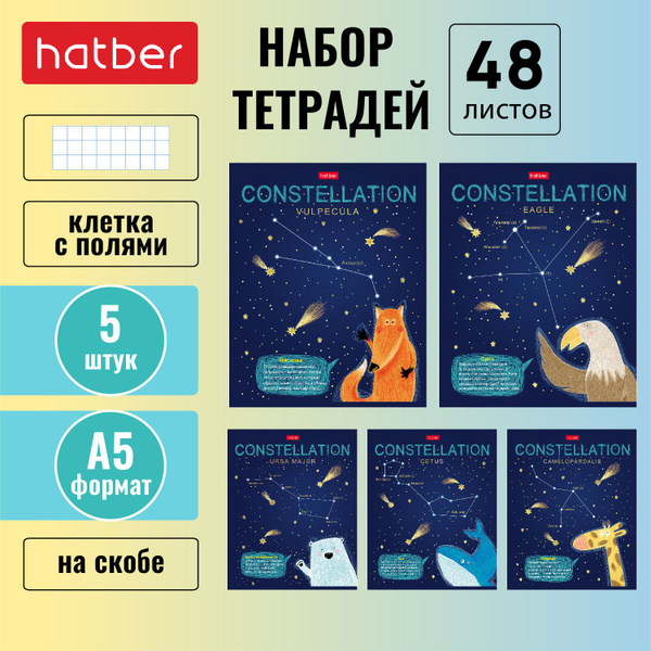 Набор тетрадей Hatber 48л формата А5 клетка на скобе 3D фольга, 3D лак 5 дизайнов в блоке серия ...