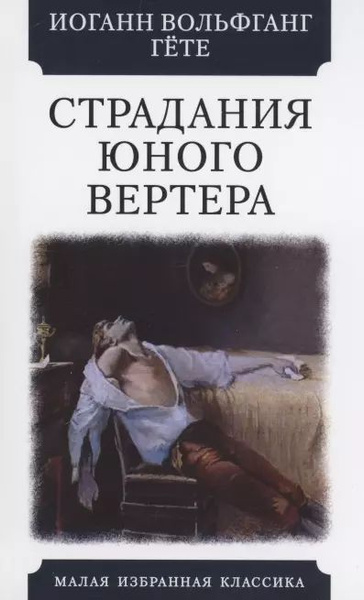 Книга Мартин Страдания юного Вертера. 2022 год, Гете И. В. - купить с ...