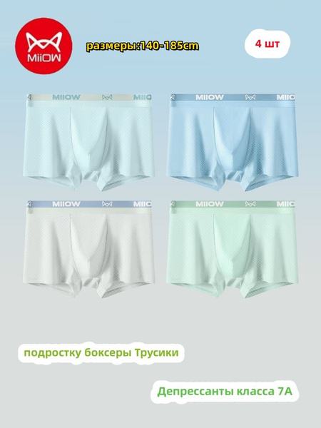 Комплект трусов Miiow, 4 шт купить на OZON по низкой цене (1606976537)