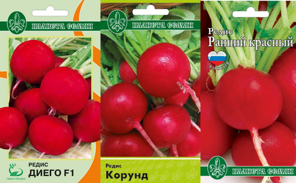 Редис, Редька Планета Семян Редис - купить по выгодным ценам в интернет ...