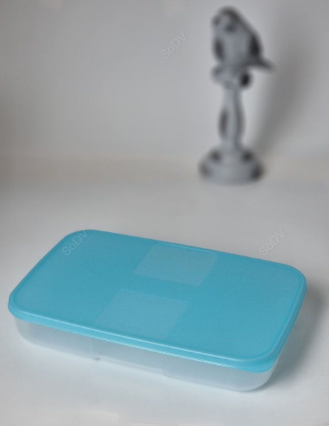 Контейнер пищевой Tupperware, объем 650 мл - купить по выгодной цене в интернет-магазине OZON ...