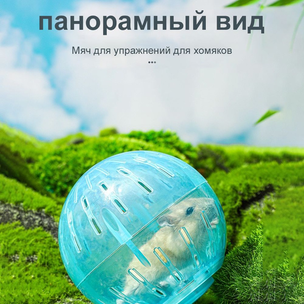 Прогулочный шар для грызунов купить на OZON по низкой цене (1628683645)