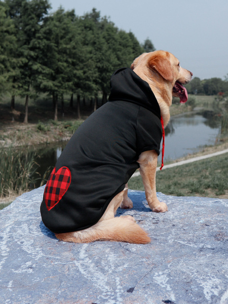 Толстовка Собачья любовь для собак средних и крупных пород, размер 4XL, Rexy crew купить на OZON ...