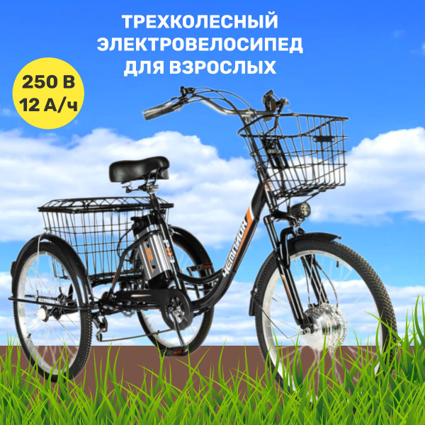 Электровелосипед взрослый трехколесный РВЗ Чемпион 24, черный 250,12 ...