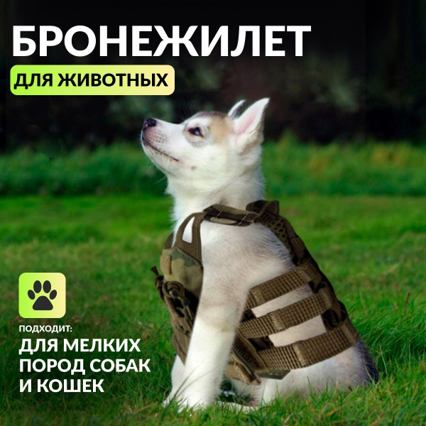 Мини бронежилет Котенок/одежда для животных(тактический, без пластин ...
