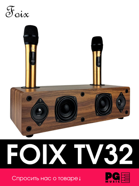Караоке-система c двумя микрофонами Foix TV32 Gold купить на OZON по низкой цене (1777071250)