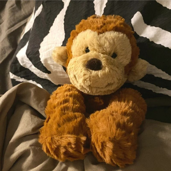 Мягкая игрушка JELLYCAT,Fuddlewuddle Monkey 23cm купить на OZON по ...