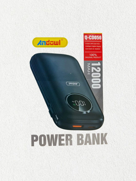 Внешний аккумулятор (Power Bank) Andowl Brand WPB купить c доставкой на ...