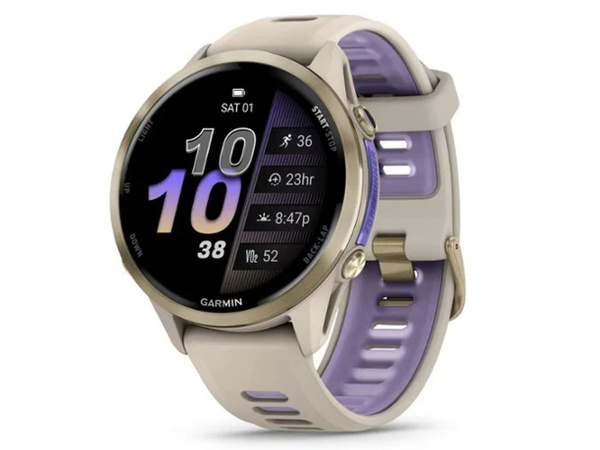 Garmin Умные часы, 47mm, French Gray/Translucent Indigo Band купить на ...