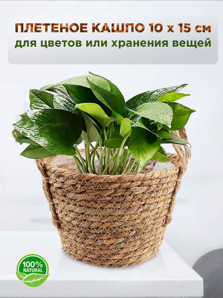 Плетеная корзинка. Кашпо Art MODY 10х15 см для Горшок для цветов купить ...