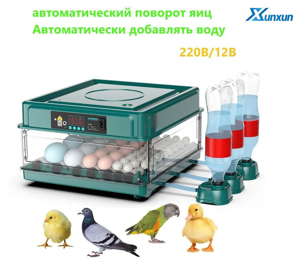 48 инкубатор для яиц автоматический 220V/12V - купить с доставкой по выгодным ценам в интернет ...