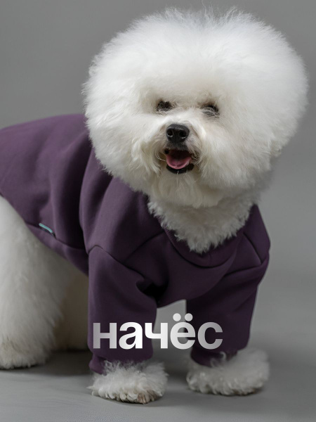 Водолазка для собак начёс - купить с доставкой по выгодным ценам в ...