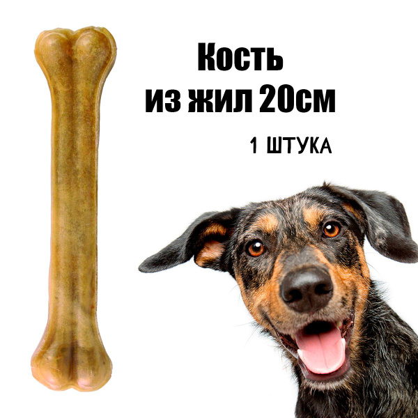 Лакомство для собак Кость из жил 20см - купить с доставкой по выгодным ...