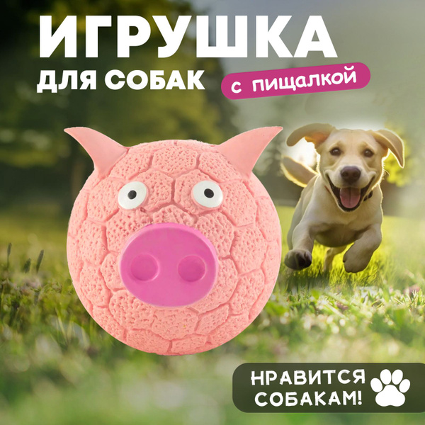 Игрушка для собак из латекса "Свинка-мяч", d85мм купить на OZON по ...