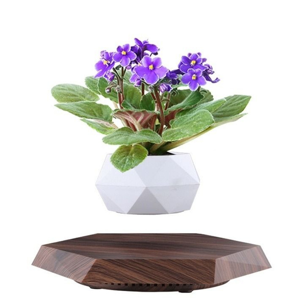 Универмаг супермаркет Левитирующий горшок, Древесный цвет - белый ...