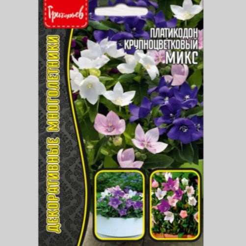 Платикодон цветы - купить по выгодным ценам в интернет-магазине OZON ...
