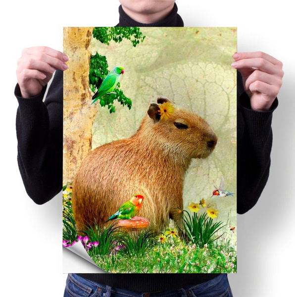 Характеристики Плакат MIGOM А2 принт "Capybara v2, Капибара" - v0020 ...