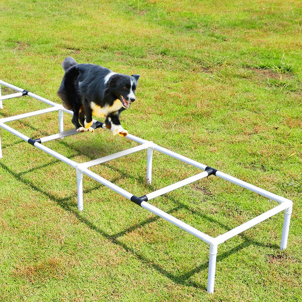 Дрессировка собакпрепятствий для аджилити Dog Activity,3.4m - купить с ...