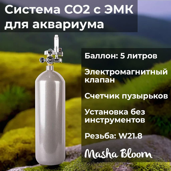 Система СО2 с ЭМК для аквариума. Баллон 5 л. MASHA BLOOM - купить с ...