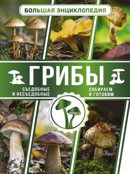 Большая энциклопедия грибника. Съедобные и несъедобные. Собираем и ...