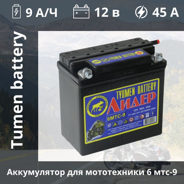 Аккумулятор для мототехники Tyumen Battery Тюмень Мото купить по ...