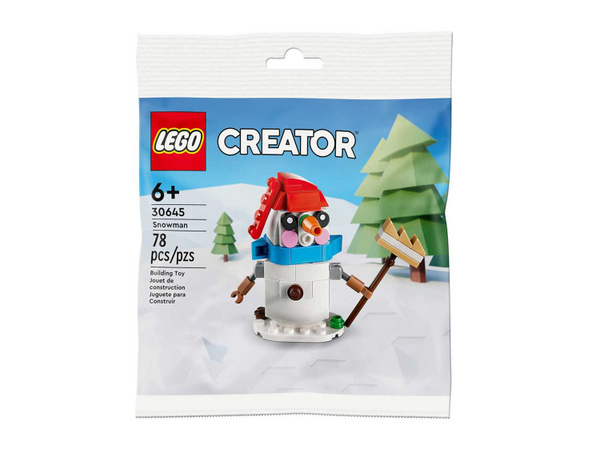Конструктор LEGO Creator 30645 Снеговик - купить с доставкой по ...
