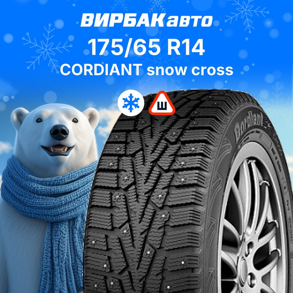 Шины для легковых автомобилей Cordiant 175/65 14 Зима Шипованные - купить в интернет-магазине ...