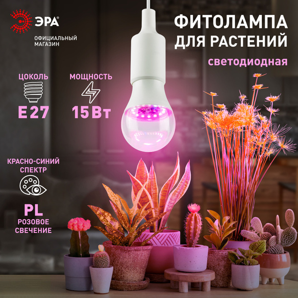 Фитолампа для растений светодиодная ЭРА GREEN LINE ФИТО A60-15W-PL-E27-GR красно-синего спектра ...