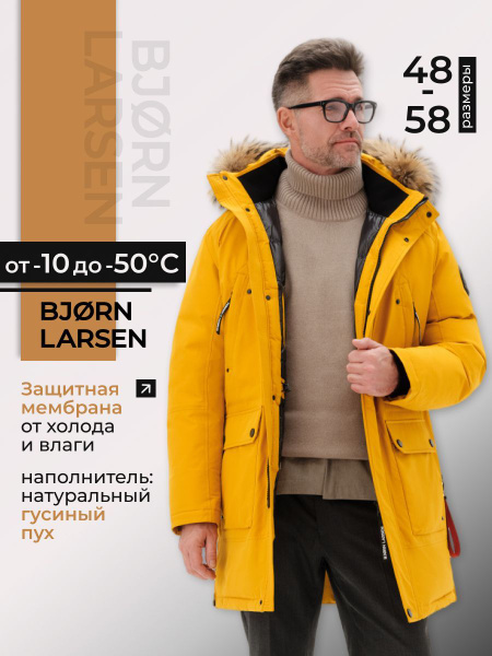 Куртка Bjorn Larsen купить на OZON по низкой цене (1751781839)
