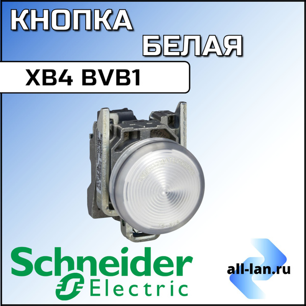 XB4BVB1 Кнопка с подсветкой Schneider Electric купить на OZON по низкой ...